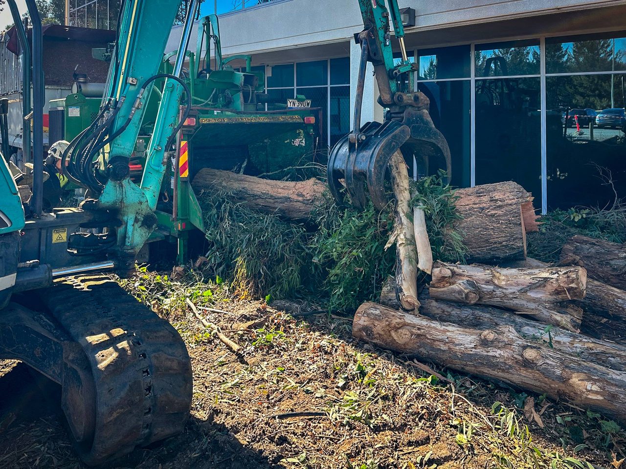 Tree Clearing - Connelly Trees
